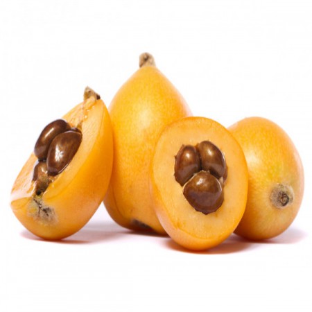 Loquat